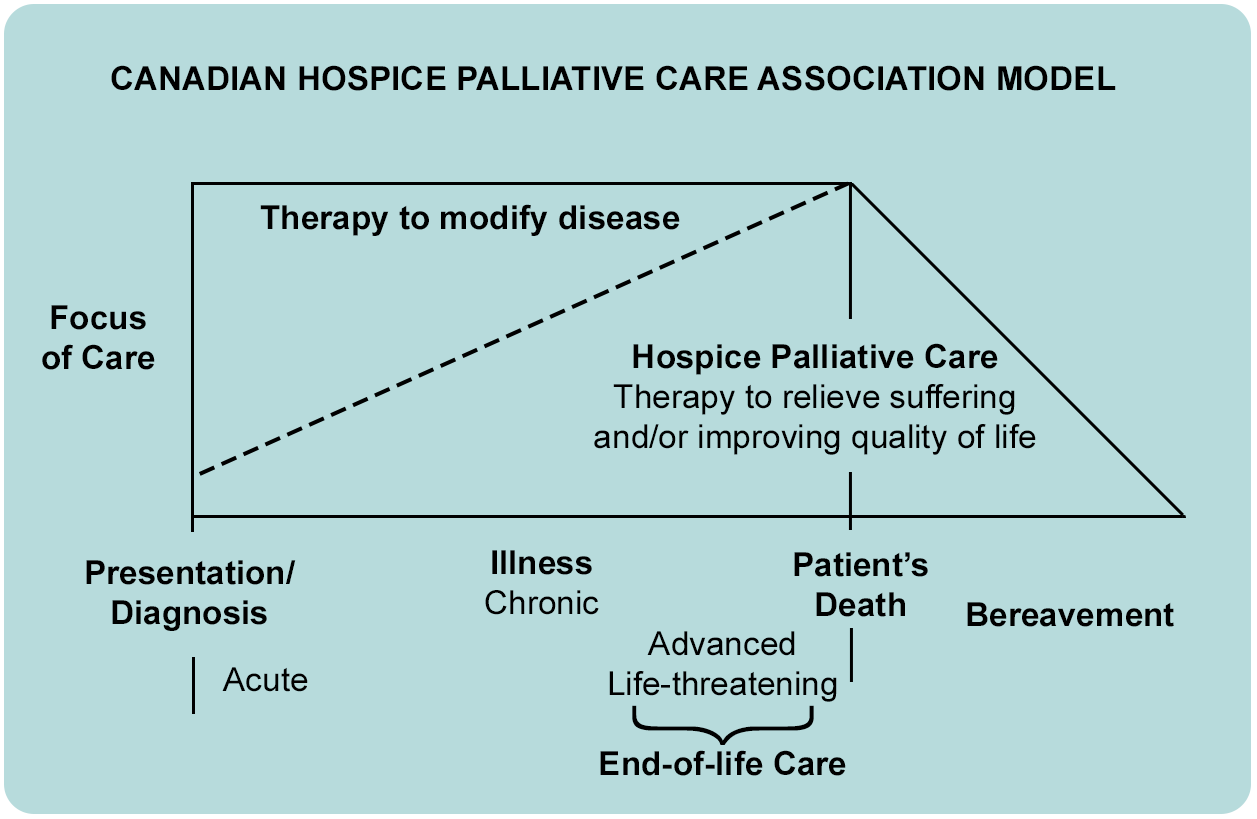An Introduction to the World of Palliative and End of Life Care ...